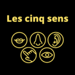 Les 5 sens – 2e cycle – La science et la technologie au primaire au CSSDM